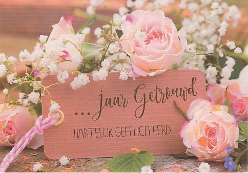 wenskaarten Goedkope wenskaarten